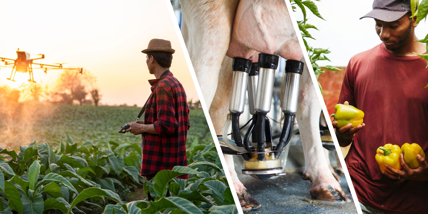 Beyond Farming – Exploring Career Opportunities in Agri Skills – Agri ...